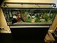 Aqua One Horizon Aquarium Fish Tank & Cabinet 122cm 182L : Amazon.co.uk ...