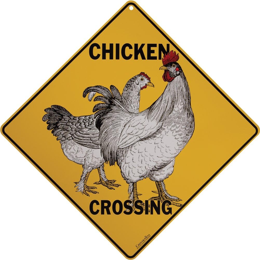 Chicken Crossing 12" X 12" Aluminum Sign: Amazon.ca: Home & Kitchen