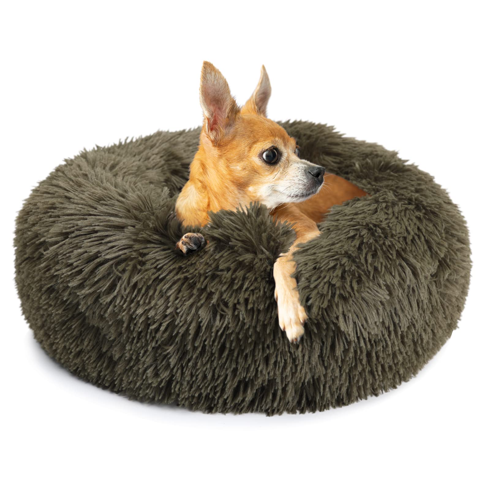Small Dog Bed Calming Dogs Bed for Small Dogs Anti-Anxiety Puppy Bed ...