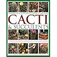 The Practical Illustrated Guide to Growing Cacti & Succulents: The ...