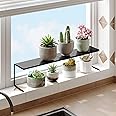 Amazon.com: WOCHUANGSI 1pc Small Narrow Shelf for Windowsill Kitchen ...