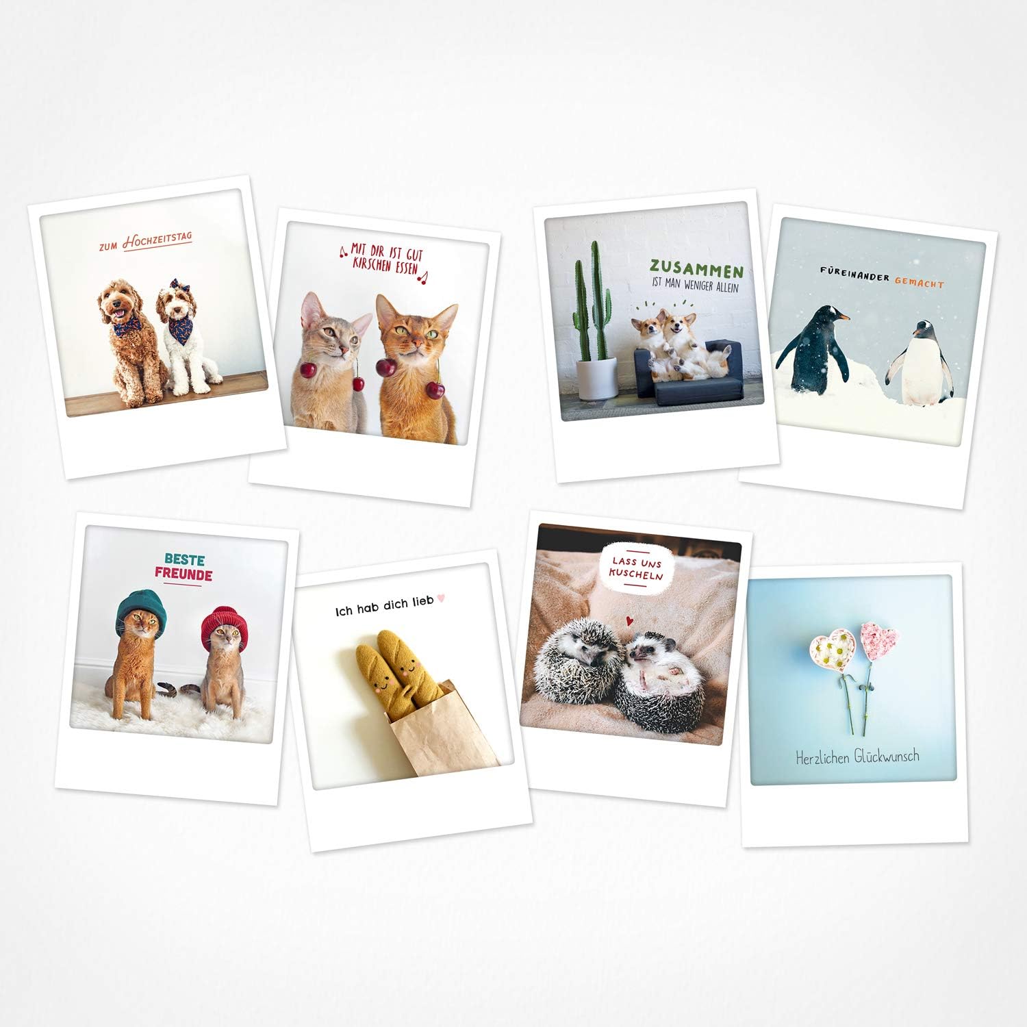 PICKMOTION Set of 8 Photo Postcards Greetings & Wishes, Instagram Photographer Birthday Cards ...