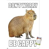 Amazon.com: Trends International Capybara - Be Cappy Wall Poster, 22.37 ...