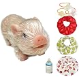 Amazon.com: OtardDolls 5 Inch Lifelike Reborn Pig Dolls, Full Silicone ...