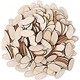 Amazon.com: NUOBESTY 200pcs Unfinished Wood Oval Slices Natural Rustic ...