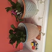 Nicola Spring Patterned Porcelain Plant Flower Pot, for Indoors ...