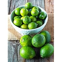 Amazon.com: Melissa's Fresh Key Limes, (5 lb) (Fresh Organic Key Limes ...