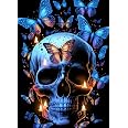 Amazon.com: KINPLUB Skull Butterfly Diamond Painting Kits for Adults ...