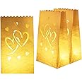 Amazon.com: Homemory Valentine's Day 50 PCS White Luminary Bags with ...