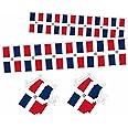 Amazon.com : LUSEOAN 2 Packs Dominican Republic Dominica Mini Flag ...