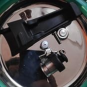 Buy Butterfly Curve Stainless Steel Pressure Cooker, 2 Litre, Silver ...