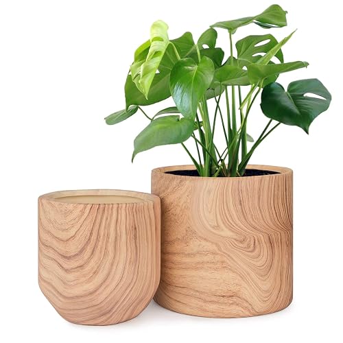 homenote Plant Pots Indoor 6/4.8 inch Pack 2, Ceramic Planter Flower ...