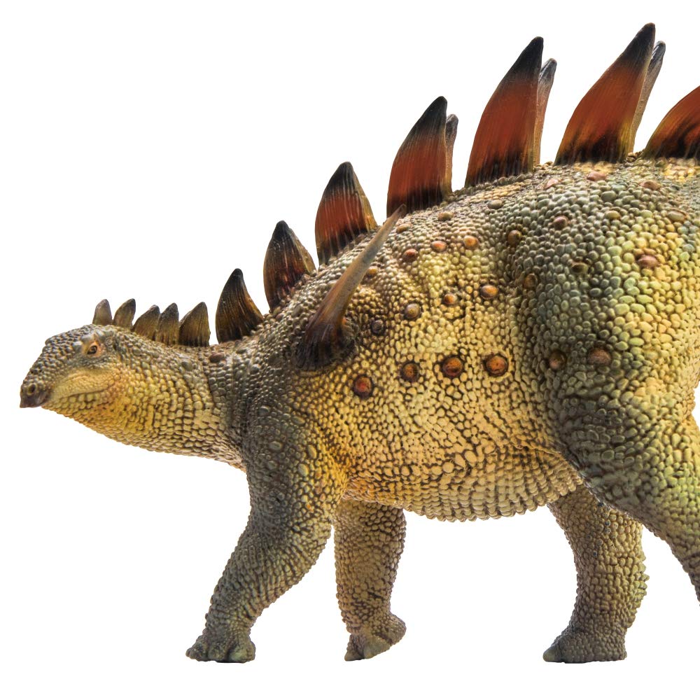 Buy PNSO Prehistoric Dinosaur Models:34Qichuan The Tuojiangosaurus ...