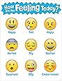Amazon.com : Creative Teaching Press Chart How are You Feeling Today ...