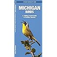 Michigan Birds: A Folding Pocket Guide to Familiar Species (Nature ...