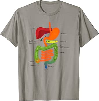 Amazon.com: Digestive System medical biology science anatomy t-shirt ...