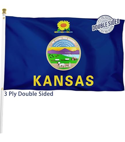 Official Kansas Flag