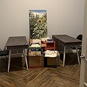 Amazon.com: Calico Designs Alcove Modern Desk with Large Split Drawer ...