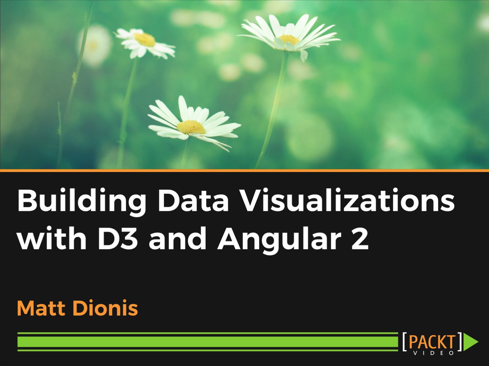Watch Building Data Visualizations with D3 and Angular 2 | Prime Video