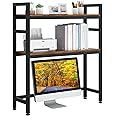 Amazon.com: XTESMS Desktop Bookcase for Computer Desk, 2-Tier ...