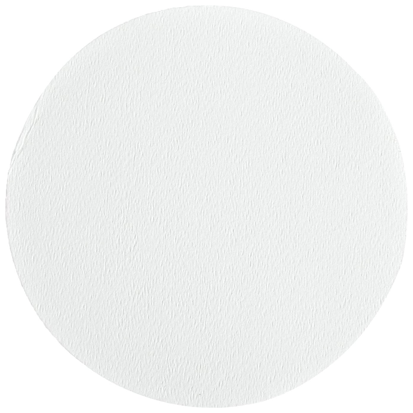 GE Whatman 3698-321 Ion Exchange Chromatography Circle Paper, 21mm ...
