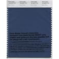 Pantone Smart Swatch 19-4029 Navy Peony - Amazon.com