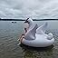 Amazon.com: Intex Mega Swan, Inflatable Island, 76.5" X 60" X 58": Toys ...