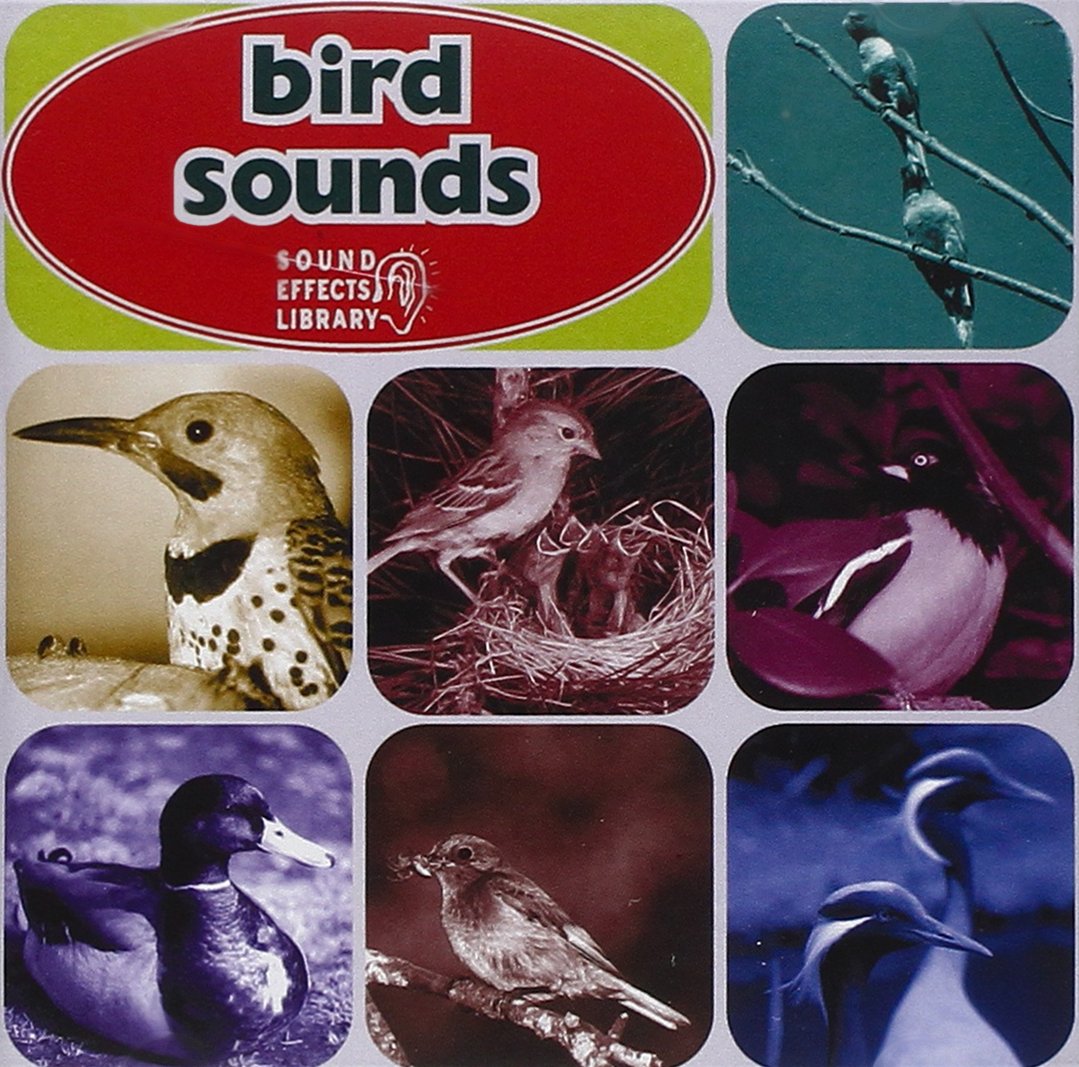 Bird Sounds: Various Artists: Amazon.fr: CD et Vinyles}