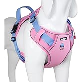 Amazon.com : AIITLE Adjustable Dog Harness with Padded for All Weather ...