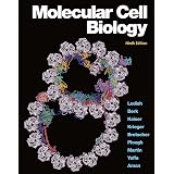 Molecular Cell Biology: Lodish, Harvey, Berk, Arnold, Zipursky ...