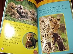 Amazon.com: National Geographic Readers: Cheetahs (8601200553413 ...