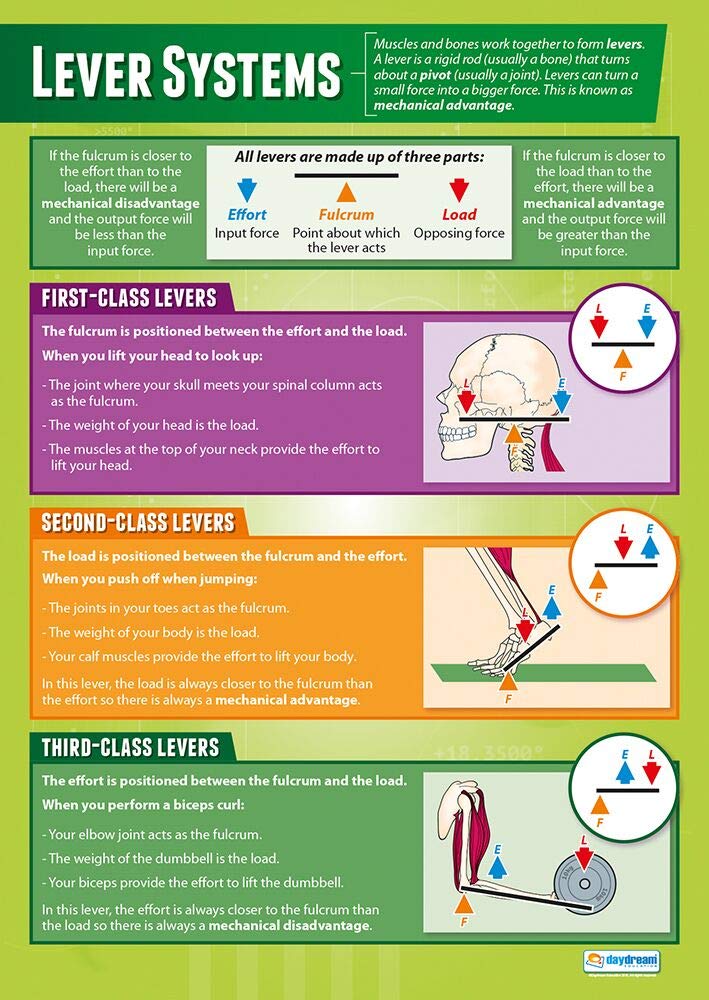 Movement Analysis Posters – Set of 2 | PE Posters | Gloss Paper ...