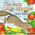 Busy Little Squirrel: Tafuri, Nancy: 9780689873416: Books - Amazon.ca