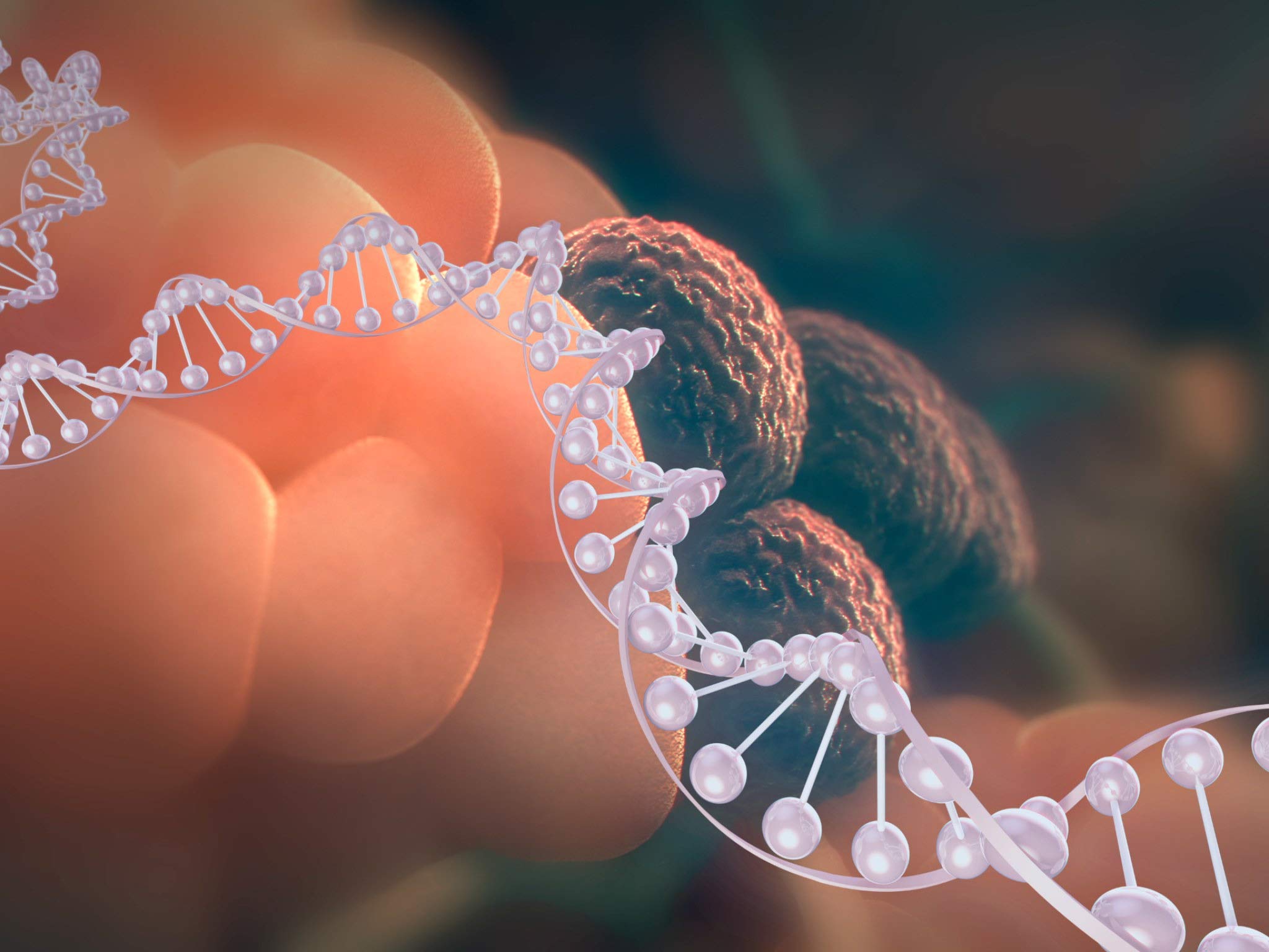 Watch Dynamic Genomes | Prime Video