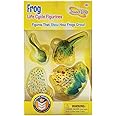 Amazon.com: Insect Lore Frog Life Cycle Stages : Toys & Games