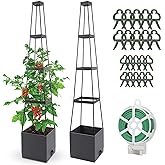 Amazon.com : Bio Green 2 Pack Garden Tomato Planter MAXITOM, with Plant ...