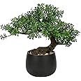 Amazon.com: Artificial Bonsai Tree Juniper Faux Plants Indoor Fake ...