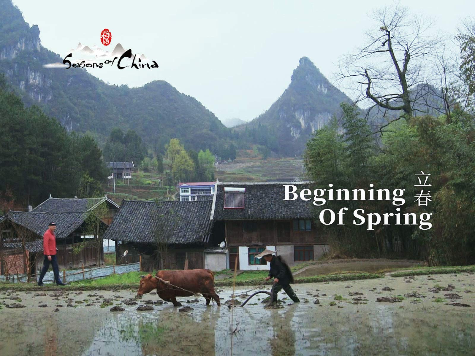 Watch Seasons of China | Prime Video