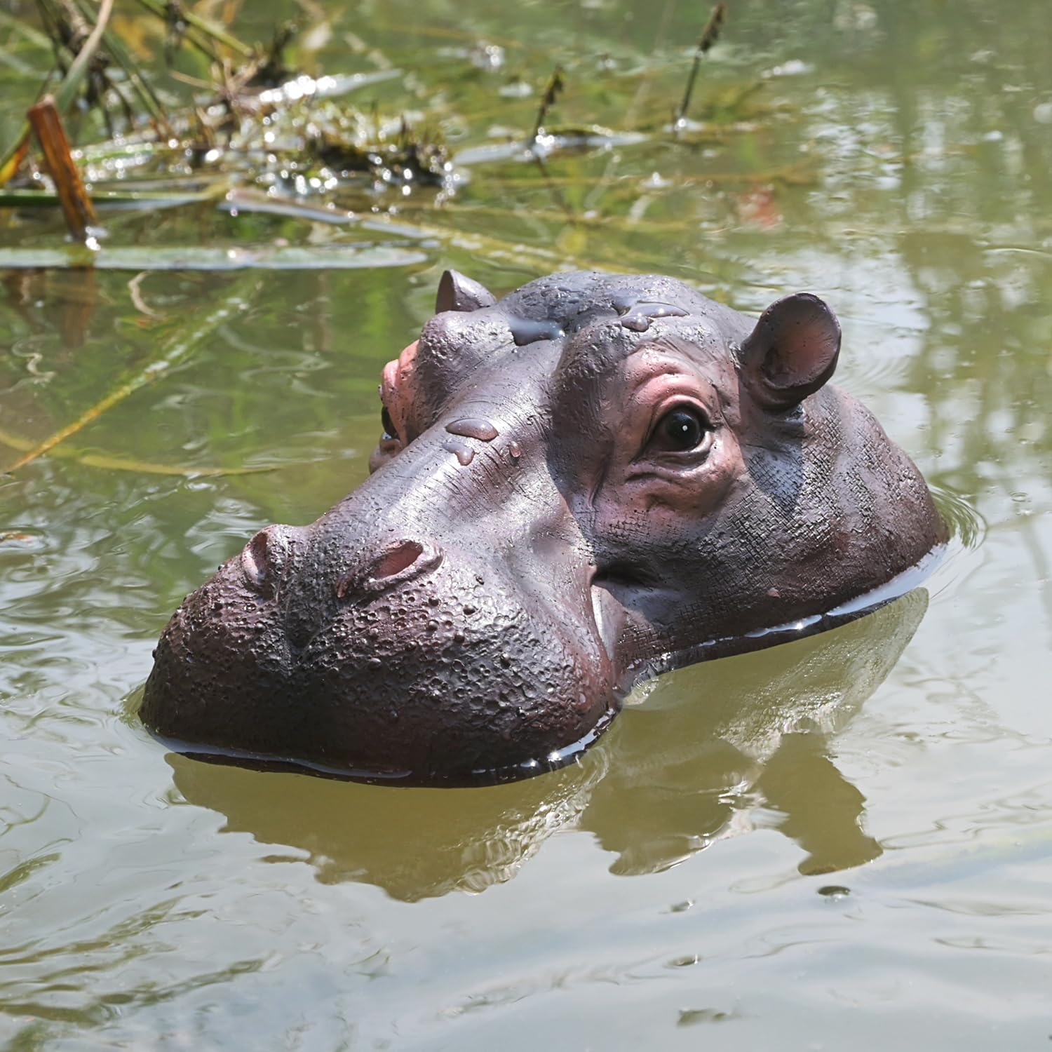 Juliahestia Hippo Head Pool Float Pond Decor Floating Hippopotamus ...