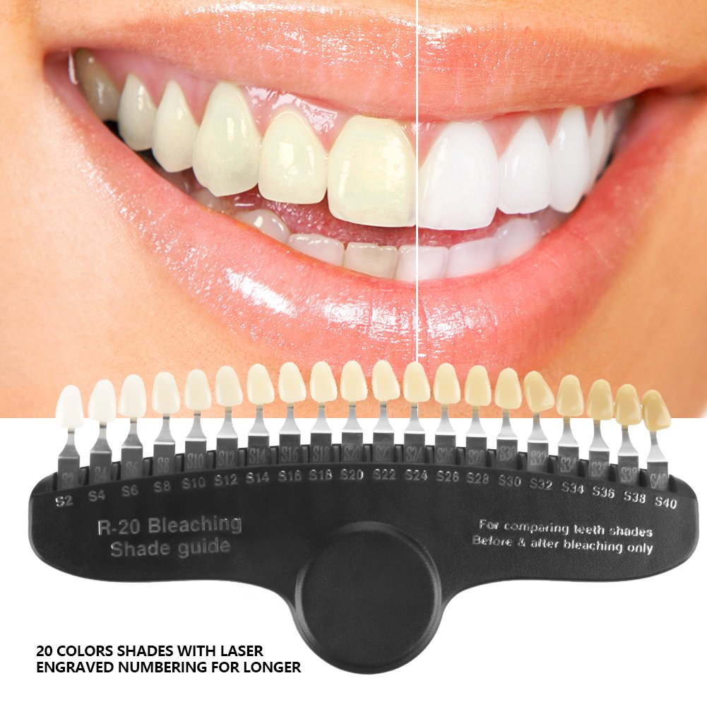Dental Teeth Shade Guide 20 Colors 3D Professional Whitening Dental ...