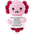 Amazon.com: Positive Crochet Axolotl Toy, Emotional Animal Crochet Support Axolotl with ...