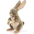 Amazon.com: Folkmanis Jack Rabbit Hand Puppet : Toys & Games