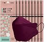 SCAPES UNTOLD BEAUTY [RED WINE MASK][CLEAN WELL][10 Pack] ::KF94 ...