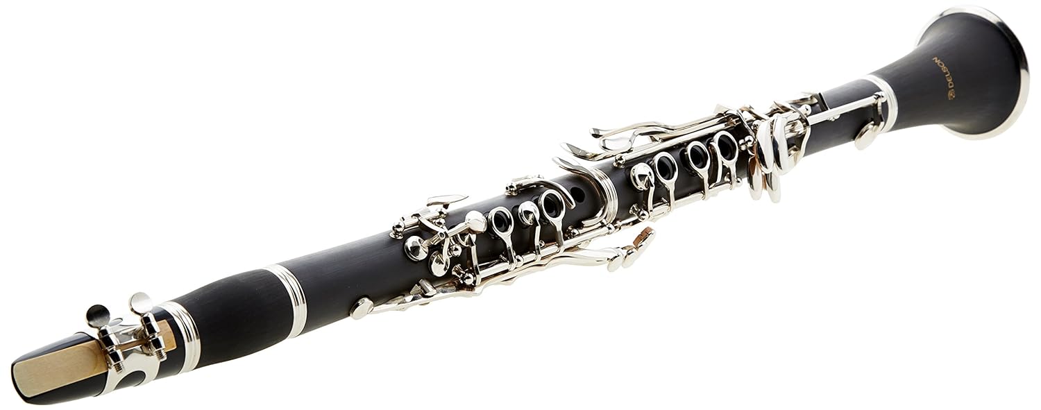 Delson V-CLA Clarinette Noir: Amazon.fr: Instruments de musique