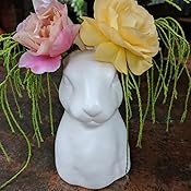 Amazon.com: Creative Co-op Ceramic Bunny Rabbit Flower Vase, White ...