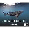 Big Pacific: Passionate, Voracious, Mysterious, Violent: Tansley ...