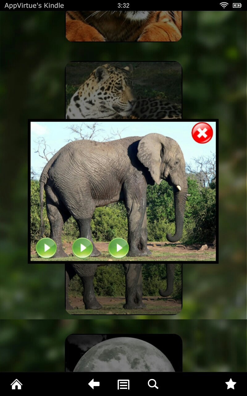 Animal Sounds Safari HD:Amazon.fr:Appstore for Android