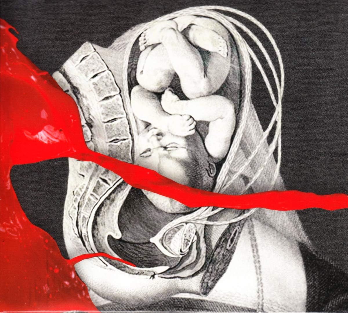 The Unified Field – BigaMart