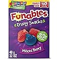 Amazon.com : Funables Fruity Snacks, Mixed Berry Flavored Snacks, 32 oz ...