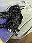 Amazon.com: Folkmanis Mini Raven Finger Puppet : Toys & Games